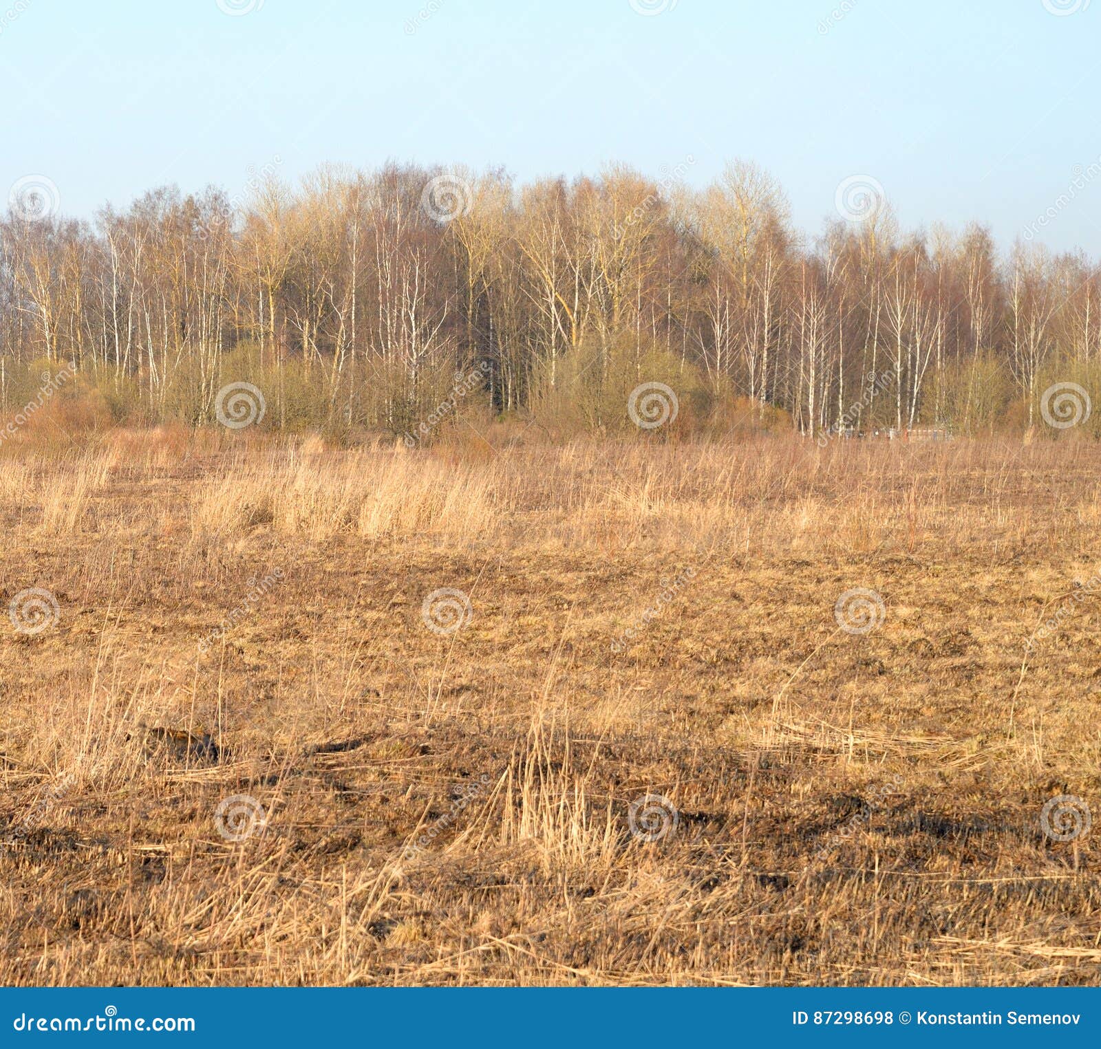 Field of early spring. stock photo. Image of rural, outside - 87298698