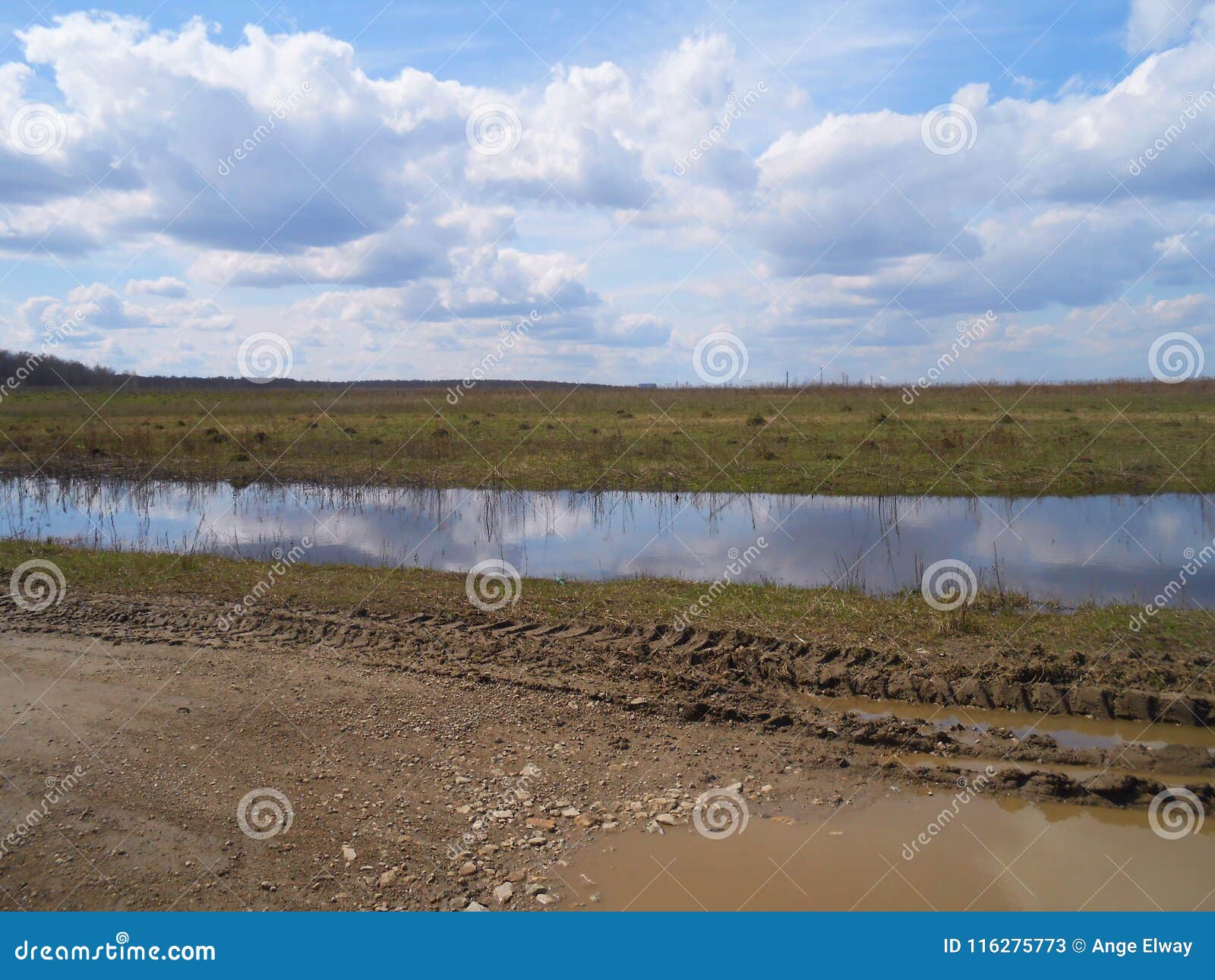 Field and puddle. stock image. Image of evening, days - 116275773