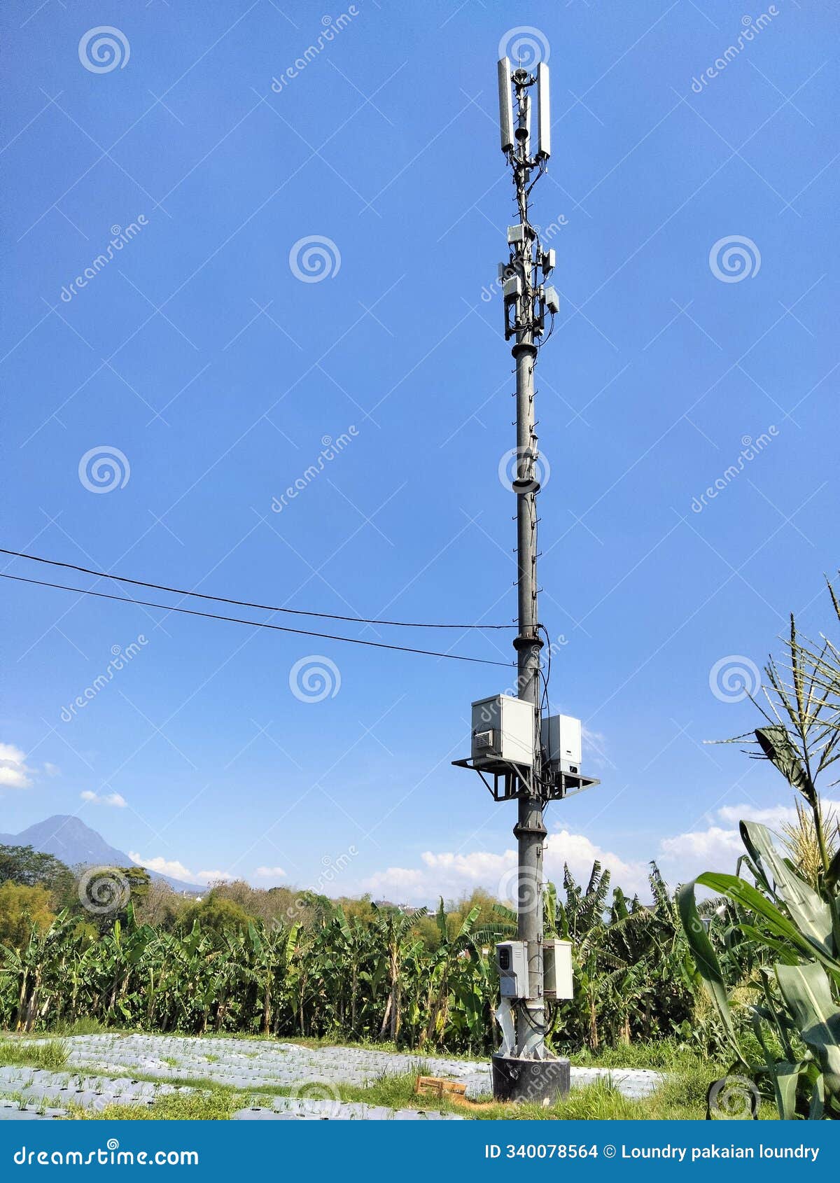 Field Edge Signal Transmitter Stock Photo - Image of side, transmitter ...