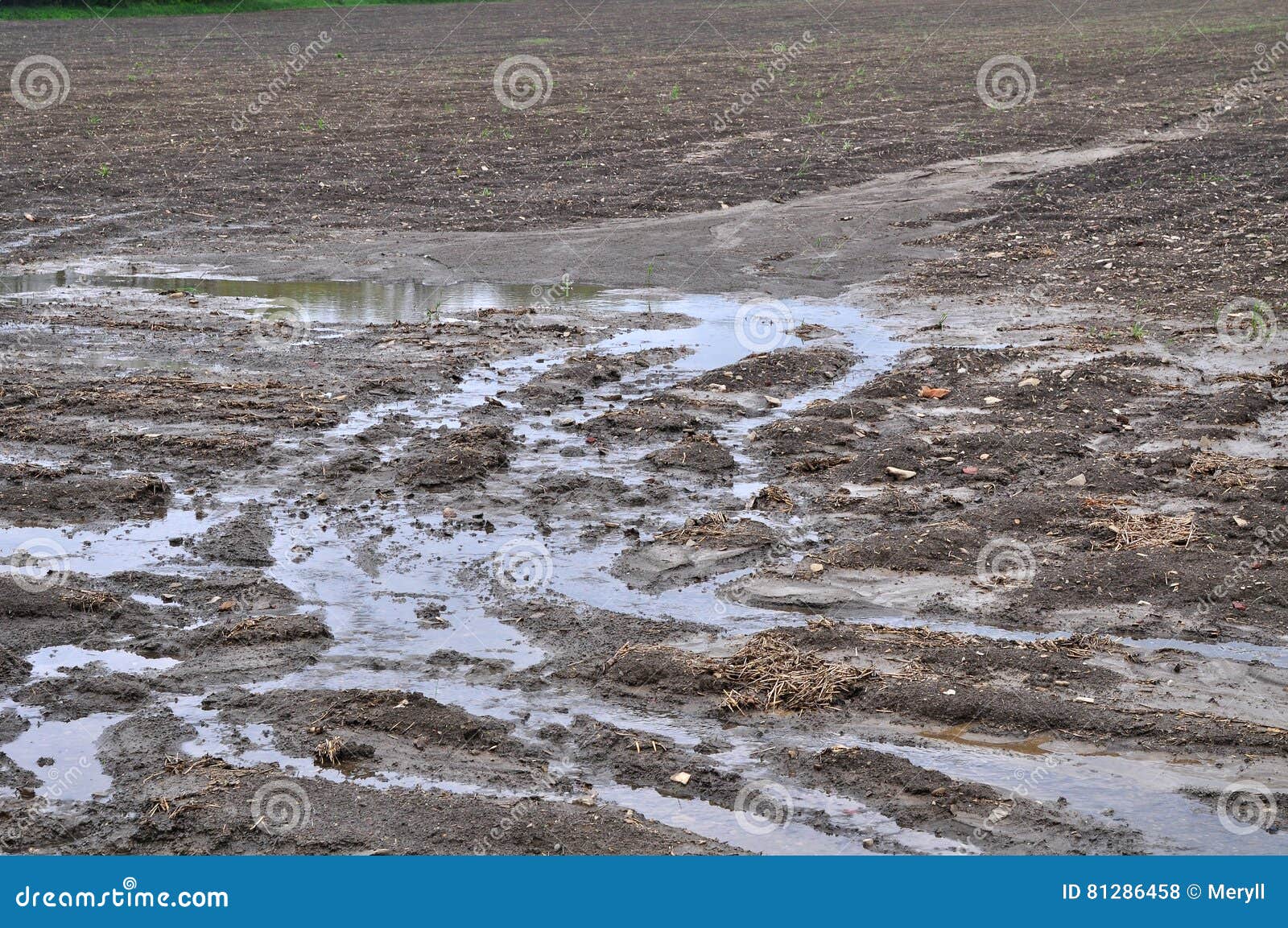 Field Erosion Landscape Stock Image | CartoonDealer.com #176486311