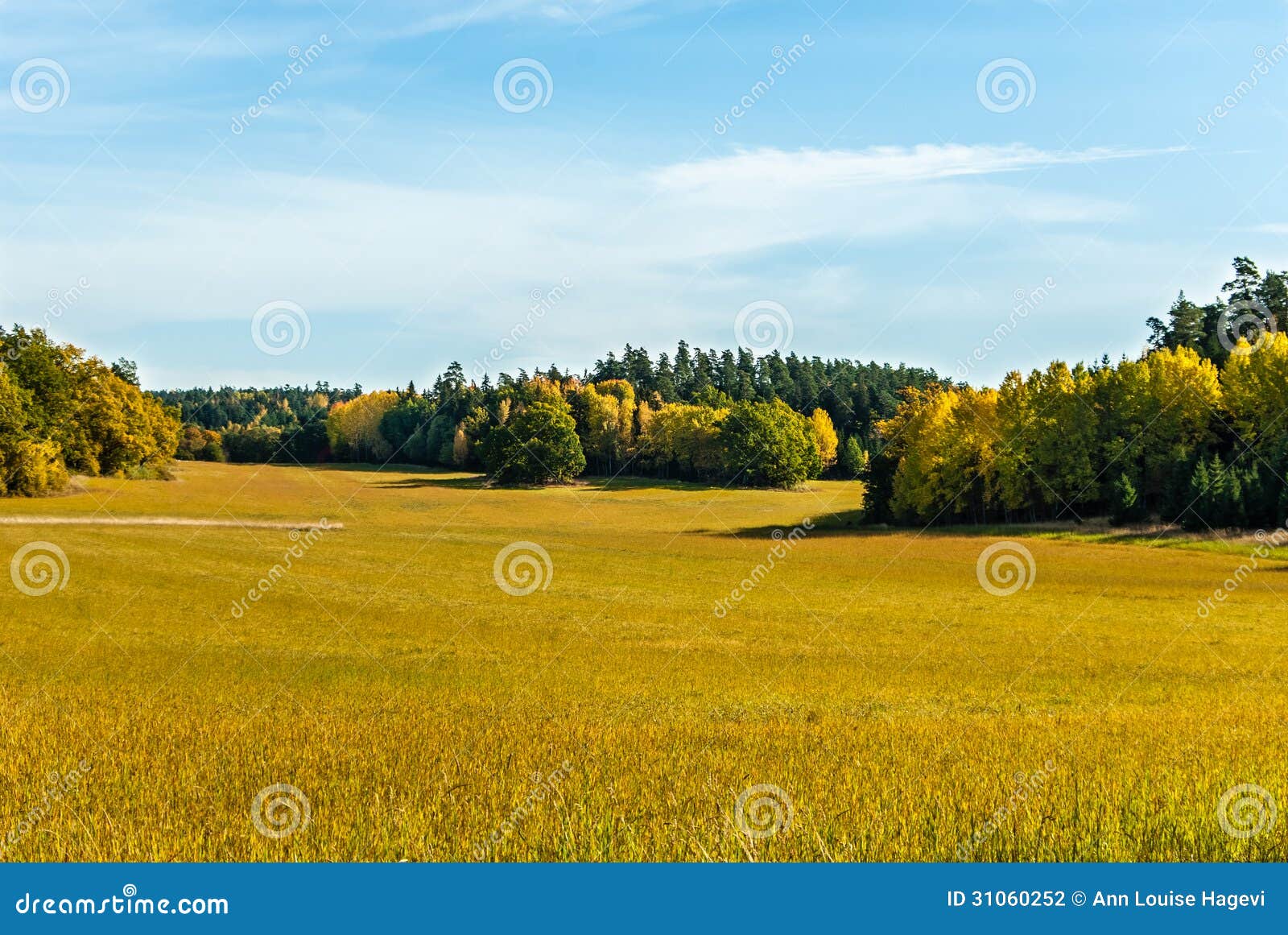 Field in fall stock photo. Image of landscape, sweden - 31060252