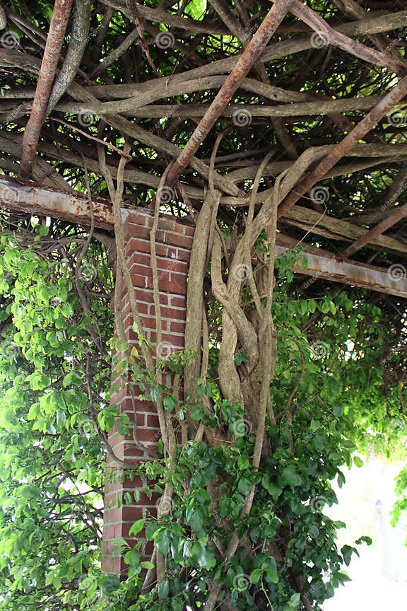 Field of the fallen stock image. Image of illustrative - 40622043