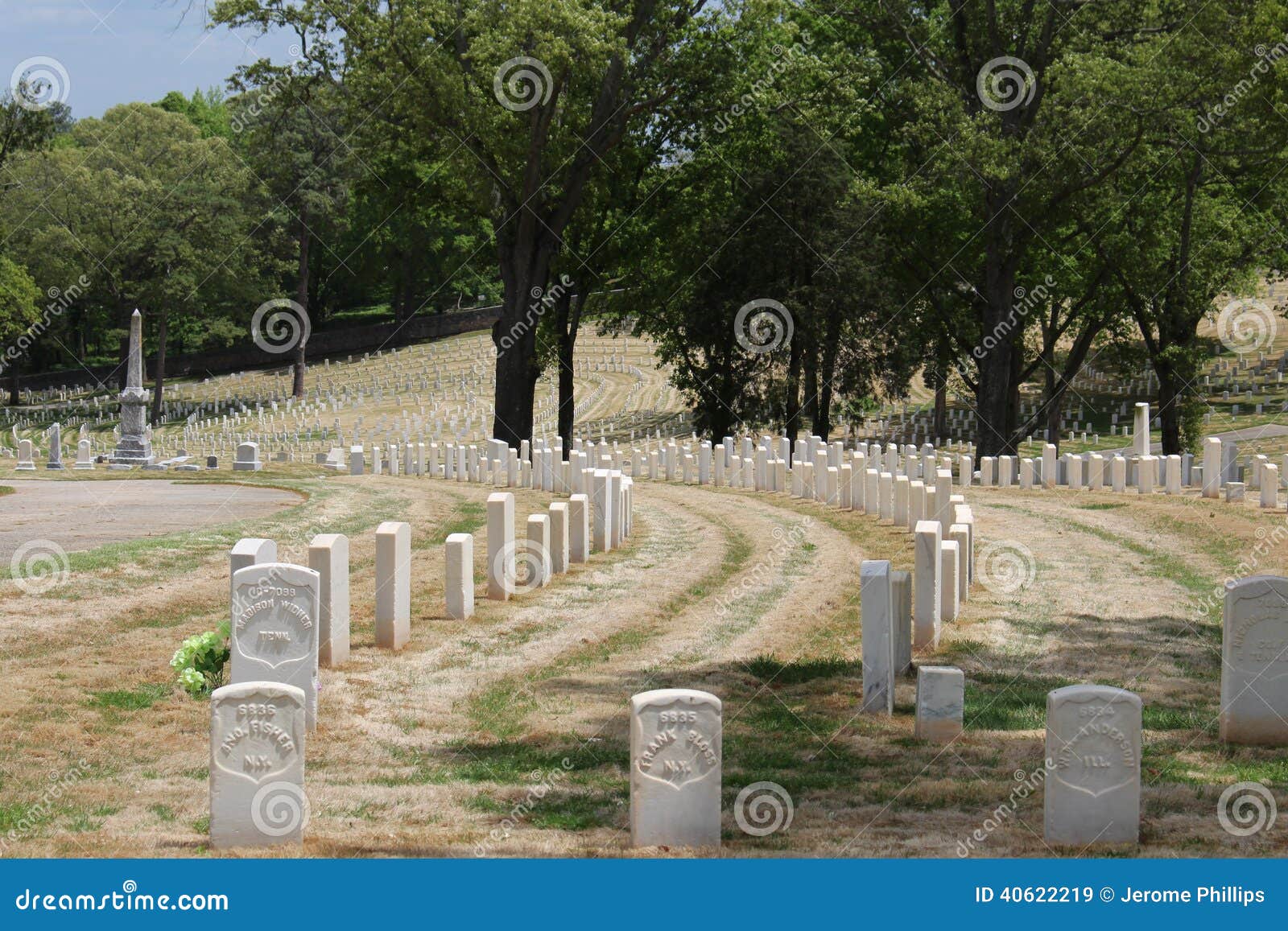 Field of the fallen editorial stock image. Image of field - 40622219