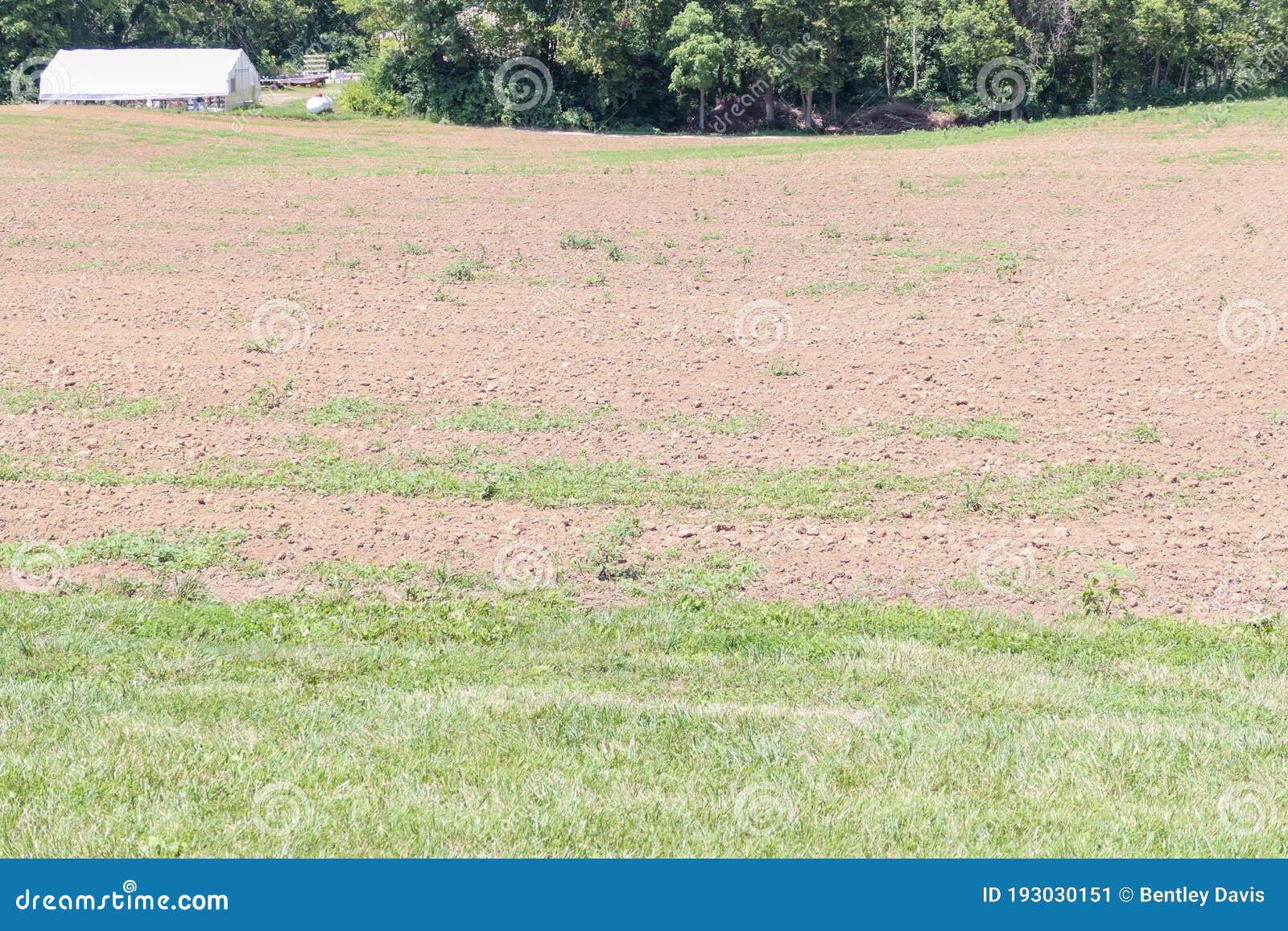 A fallow field on a farm stock image. Image of looks - 193030151