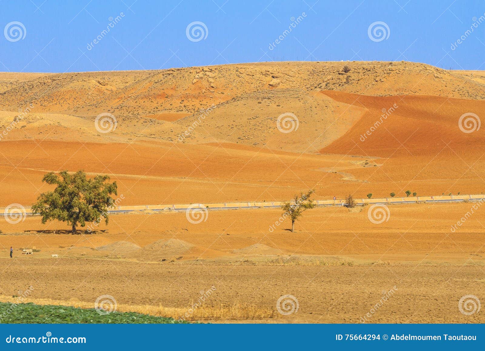 Farm editorial stock image. Image of arab, energy, african - 75664294