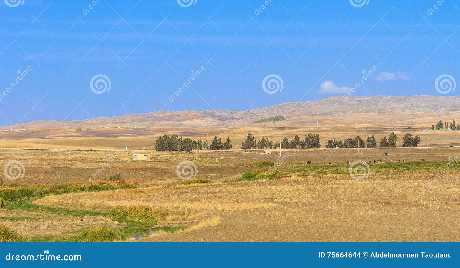 Farm stock photo. Image of agroecosystem, ecosystrm, biology - 75664644