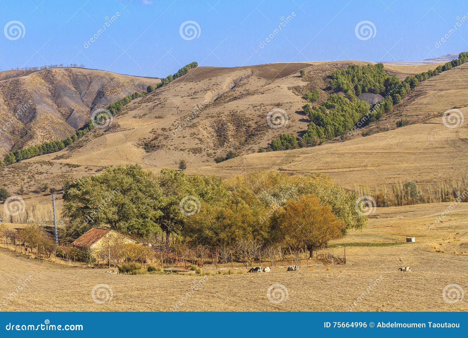 Farm stock photo. Image of energy, brown, algeria, arab - 75664996