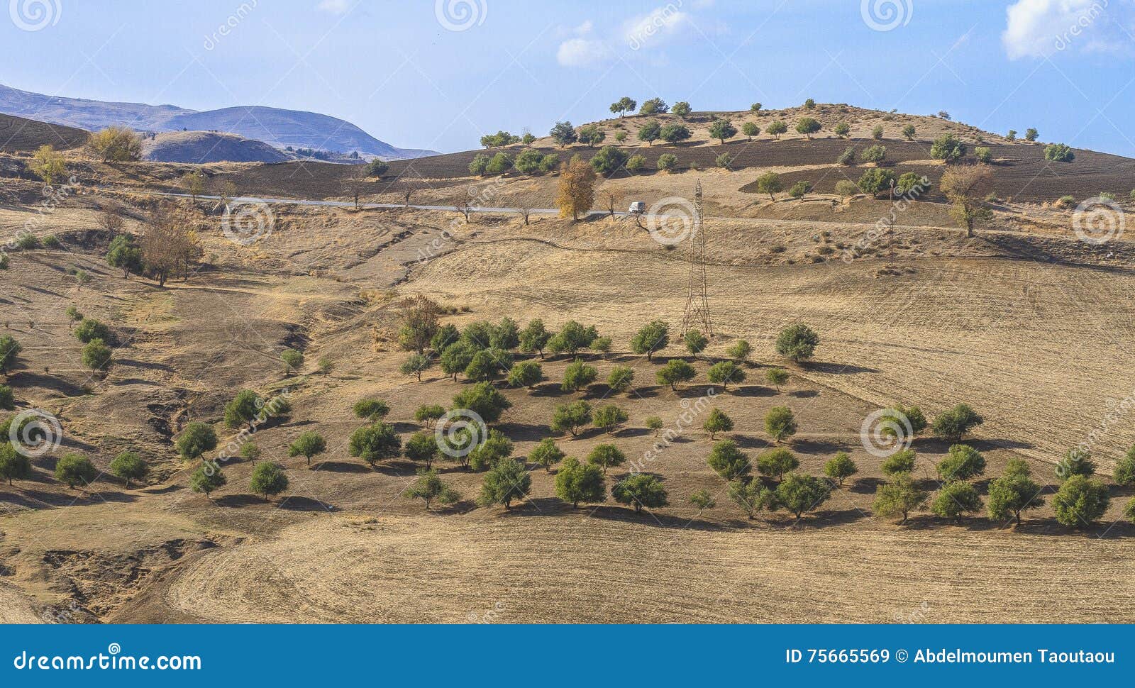 Farm stock image. Image of cropping, algeria, farm, agronomy - 75665569