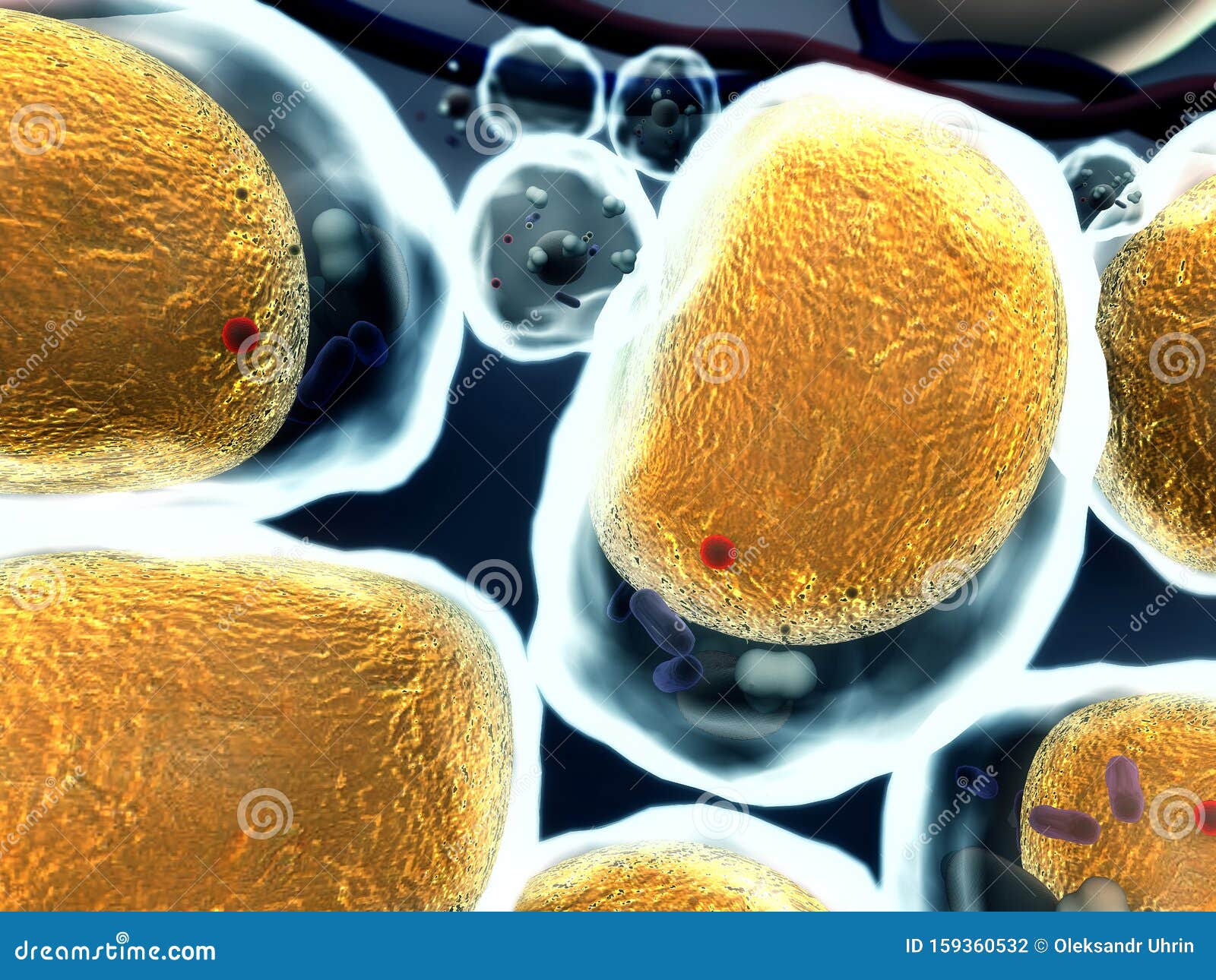 Field of Fat Cells, Cell Structure Stock Illustration - Illustration of ...
