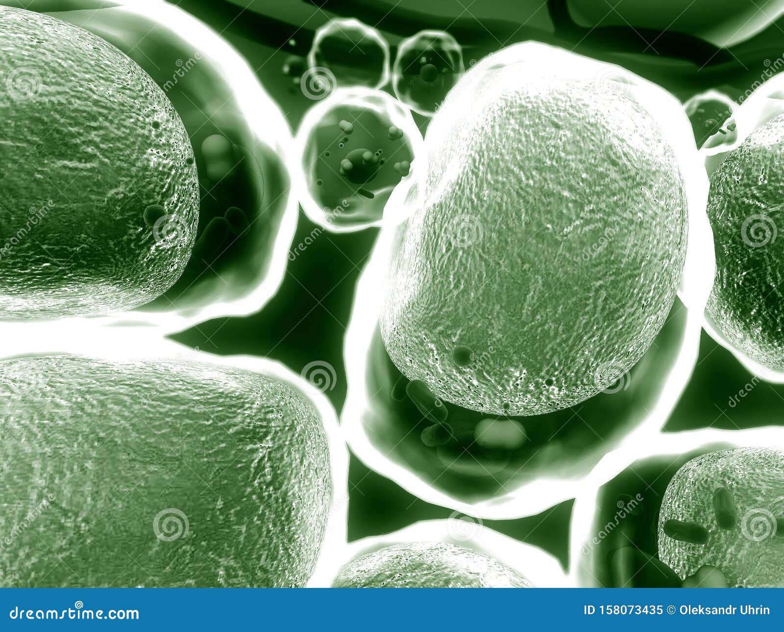 Field of fat cells stock illustration. Illustration of granule - 158073435
