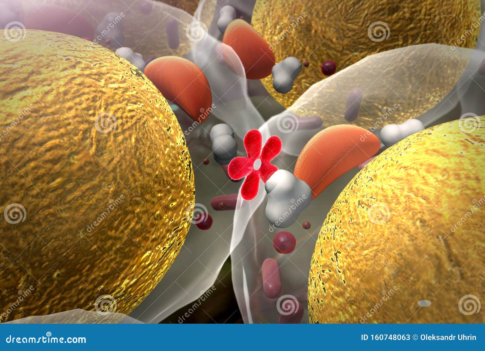 Fat cell and Macrophage stock illustration. Illustration of group ...