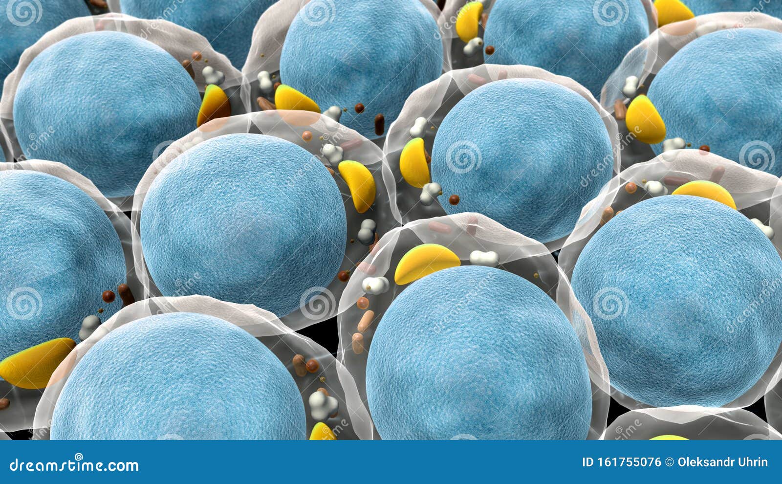 Cholesterol in a Cells, Field of Cells Stock Illustration ...