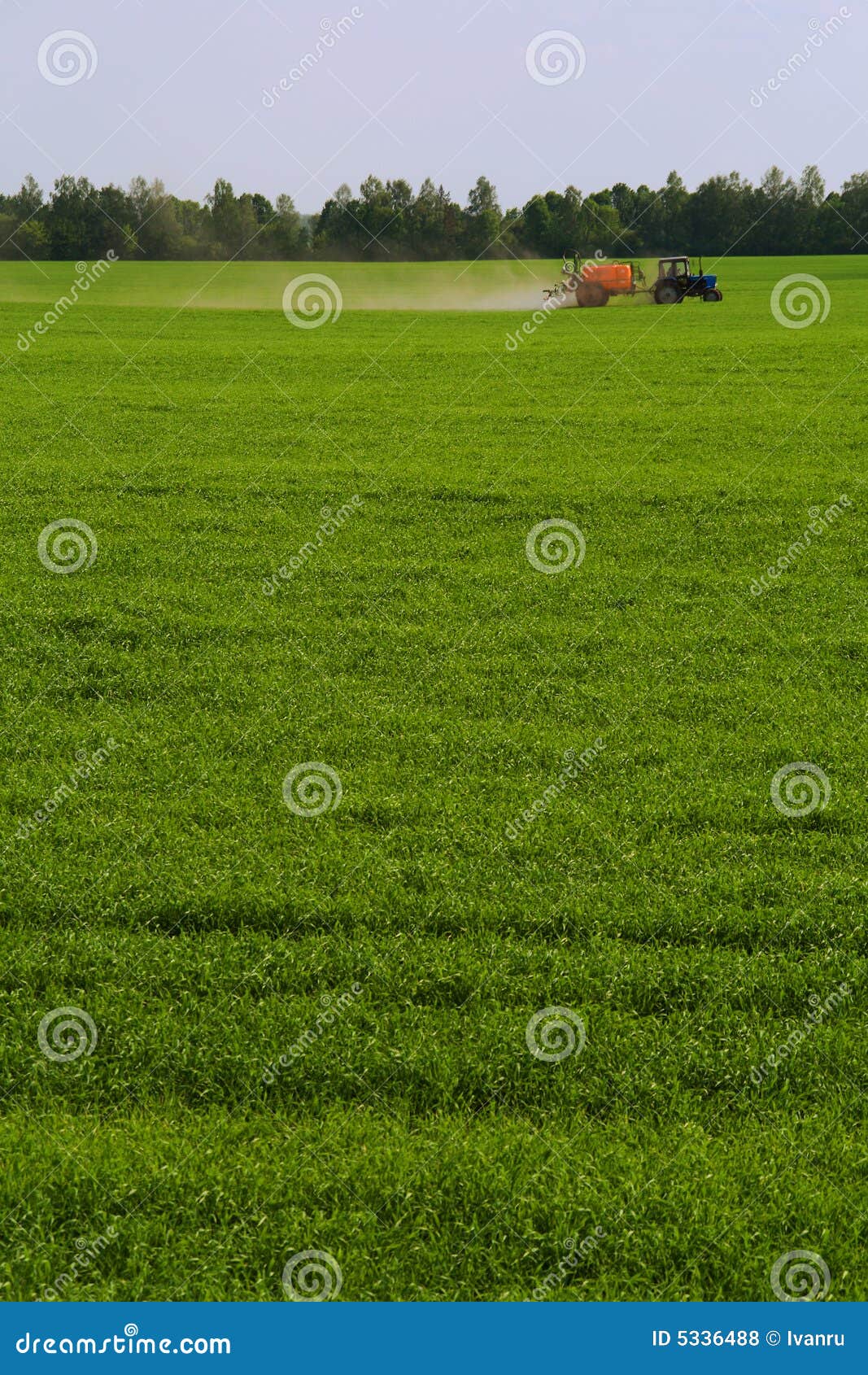 A field fertilized stock photo. Image of stream, fluid - 5336488