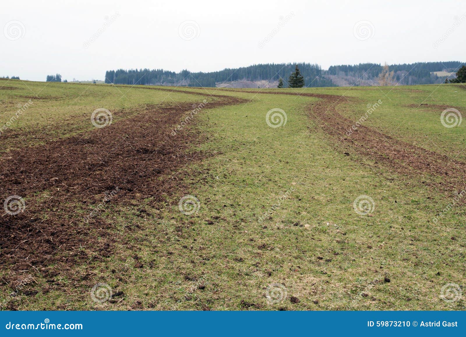 A Field Fertilized with Manure Stock Photo - Image of education, field ...
