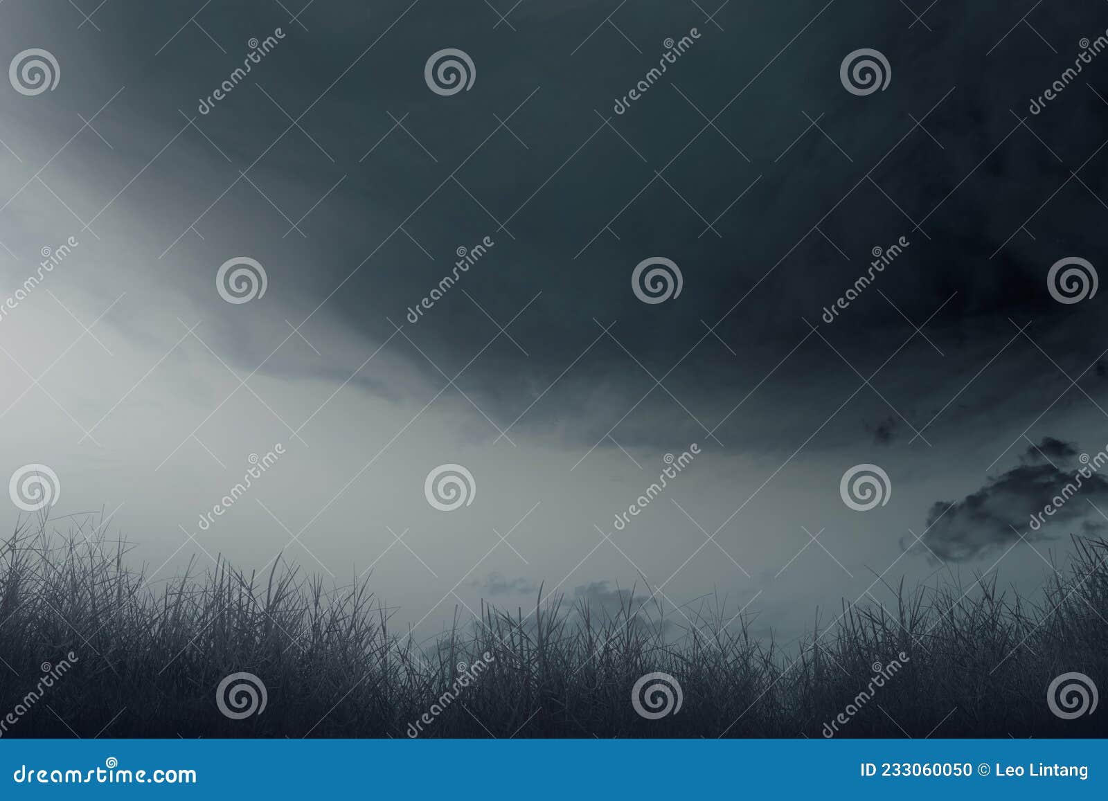 Field stock photo. Image of fantasy, abstract, environment - 233060050