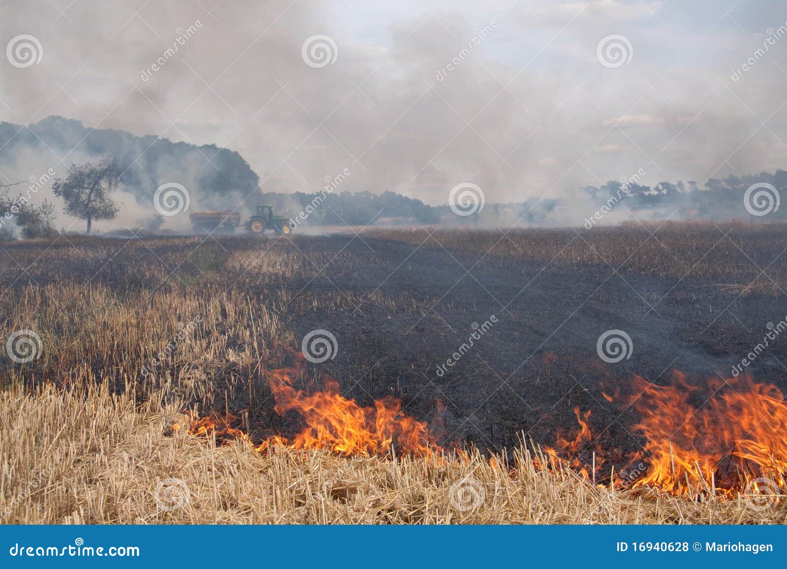 Field Fire stock photo. Image of firefighter, farm, fighting - 16940628