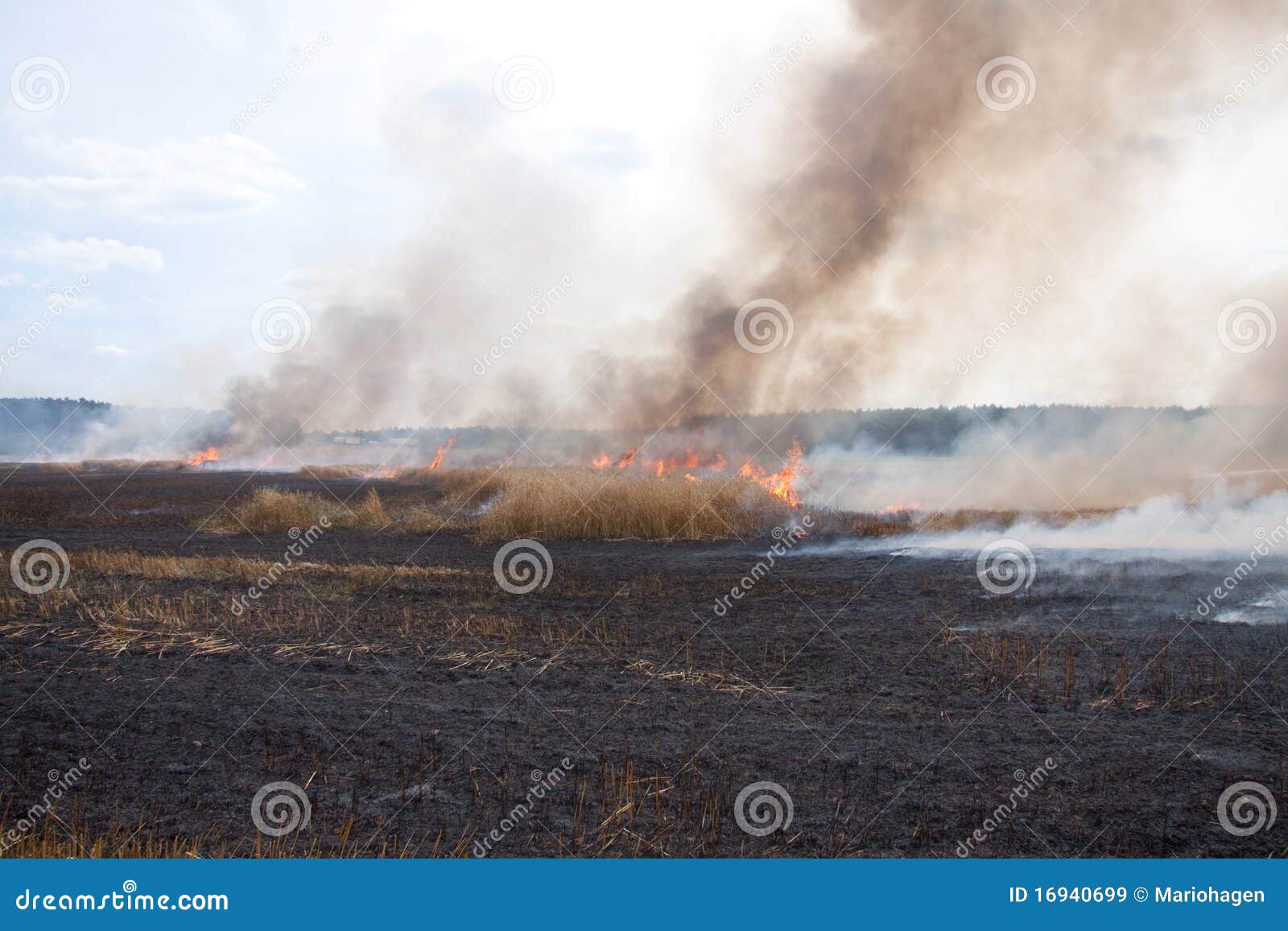 Field Fire stock image. Image of financially, increase - 16940699