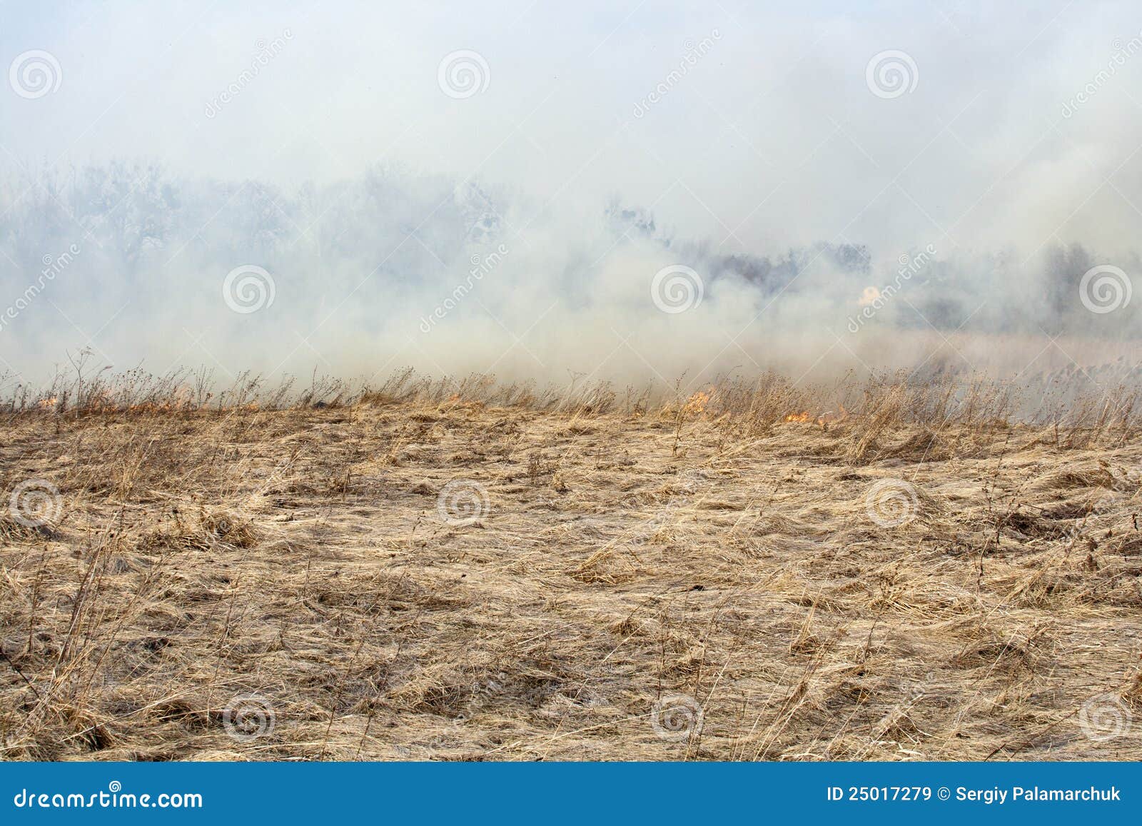 Field on fire stock image. Image of disaster, field, nature - 25017279