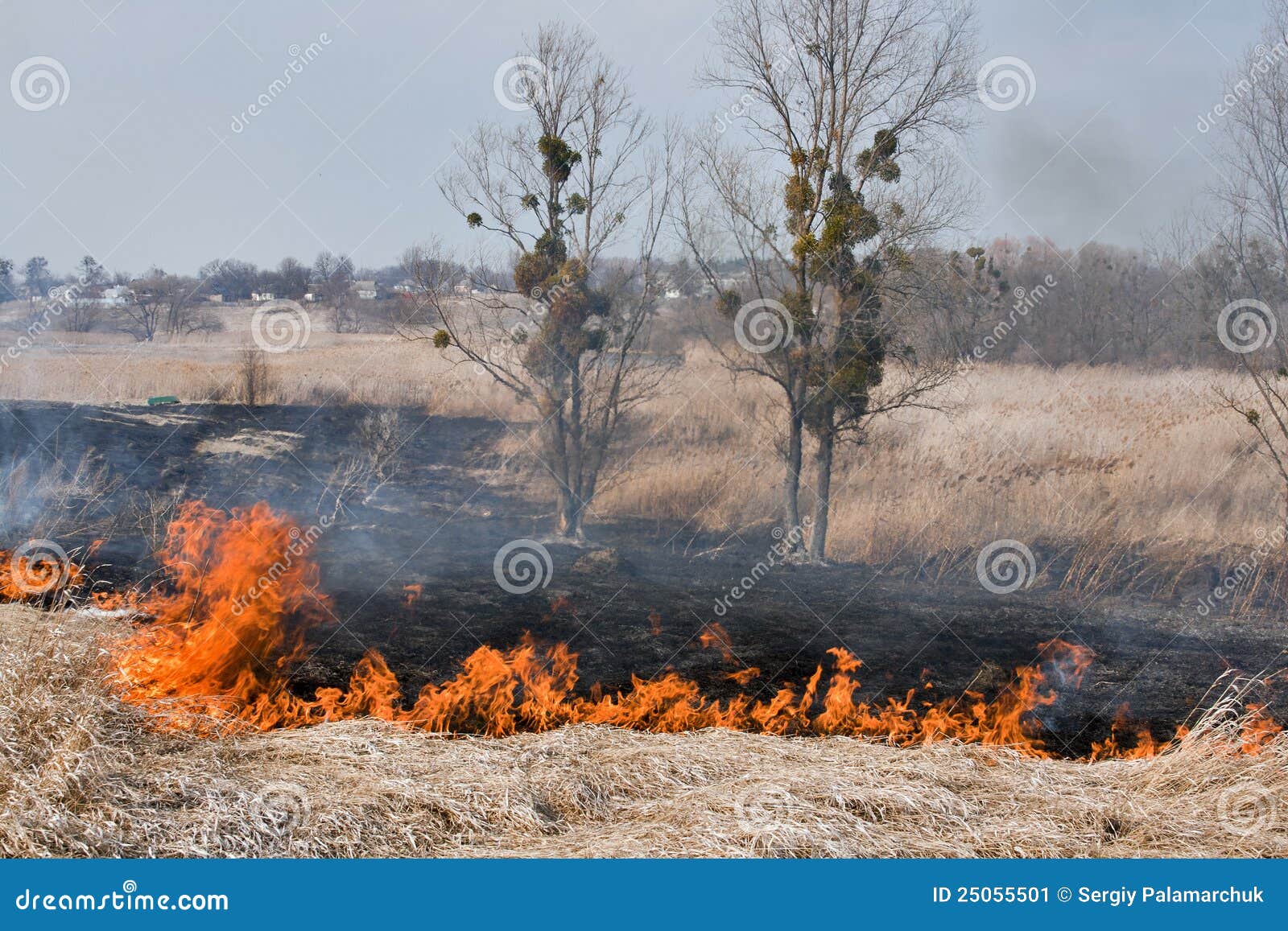 Field on fire stock image. Image of smoke, horizontal - 25055501