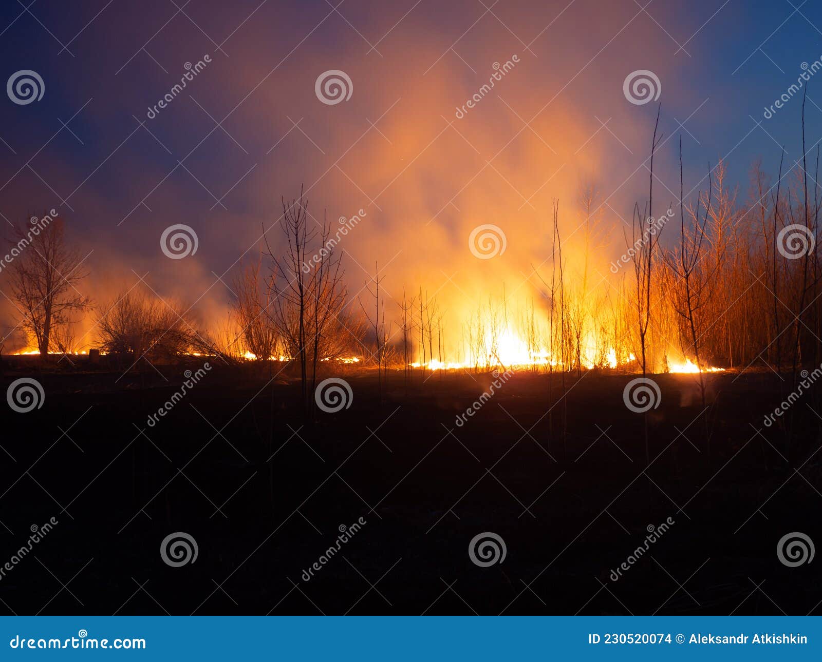 Field fire night stock photo. Image of smoke, destruction - 230520074