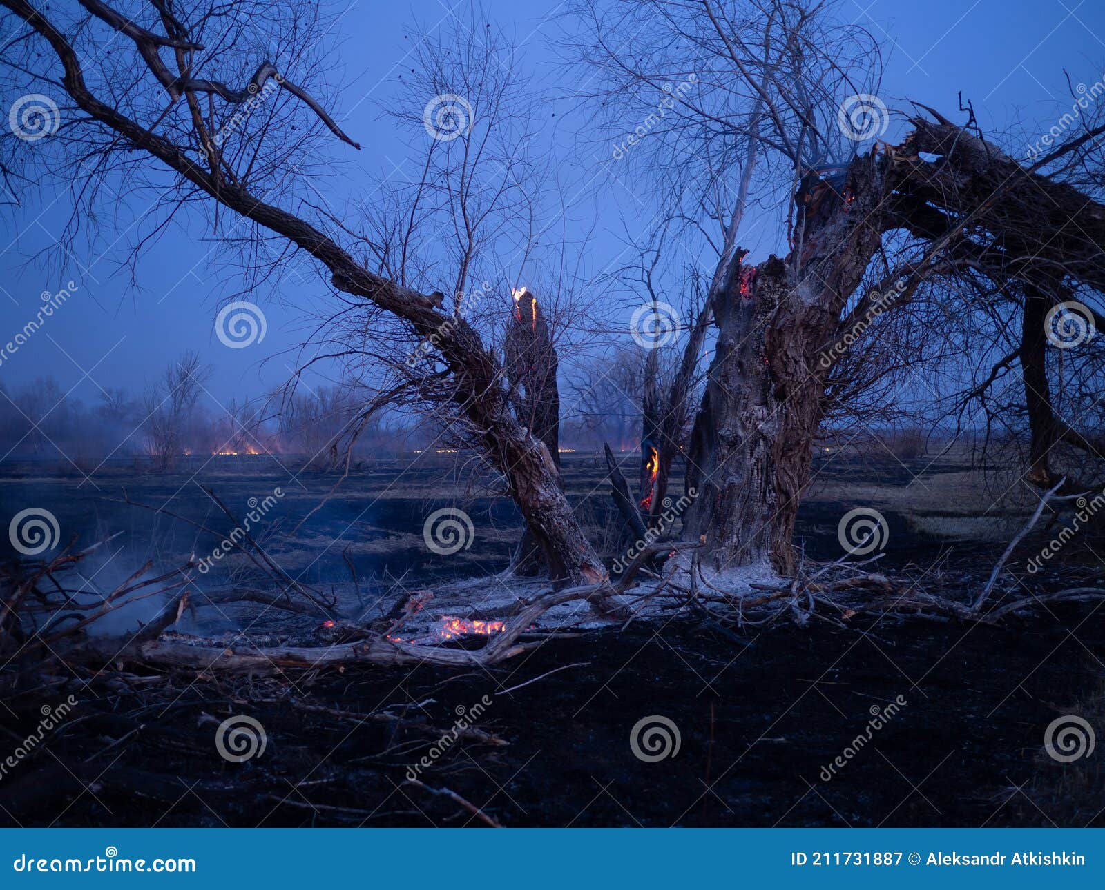 Field fire night stock image. Image of flame, ecology - 211731887