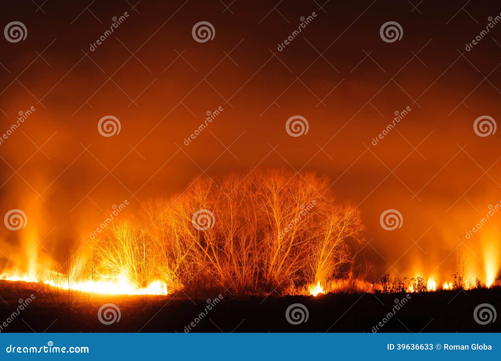 Field on Fire Orange Glow Against the Black Sky Stock Image - Image of ...