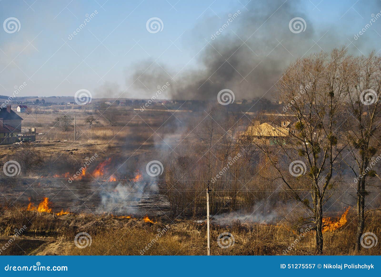 Field fire. stock image. Image of grass, smoke, bushes - 51275557