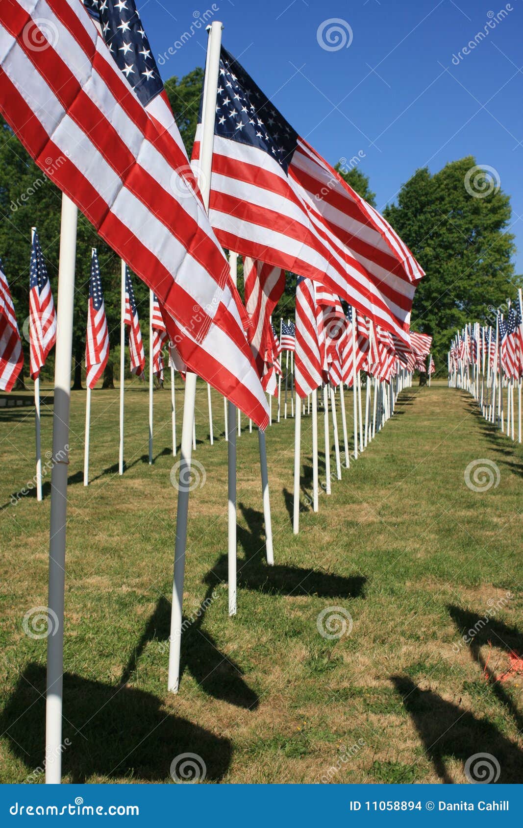 Field of flags stock photo. Image of pride, freedome - 11058894