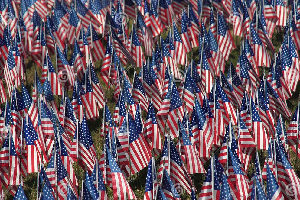 Field of Flags stock photo. Image of north, icon, states - 1683494