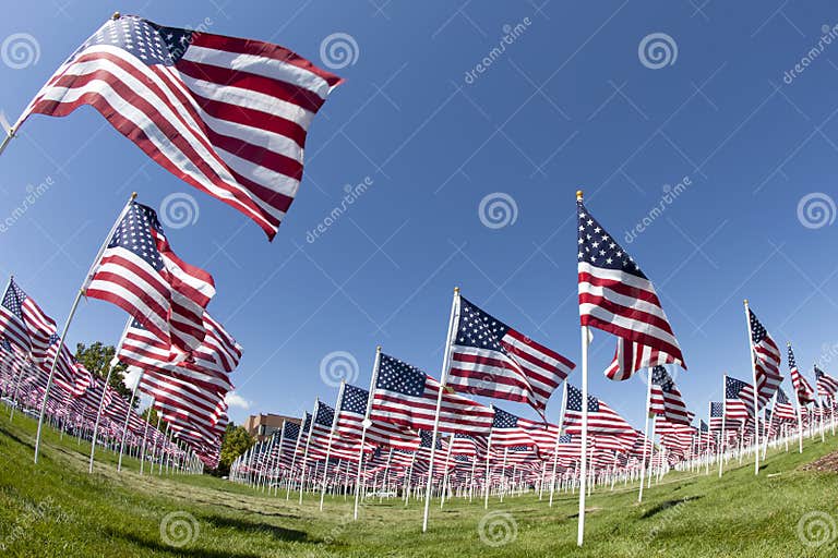 Field of Flags stock photo. Image of field, honor, infront - 21208948