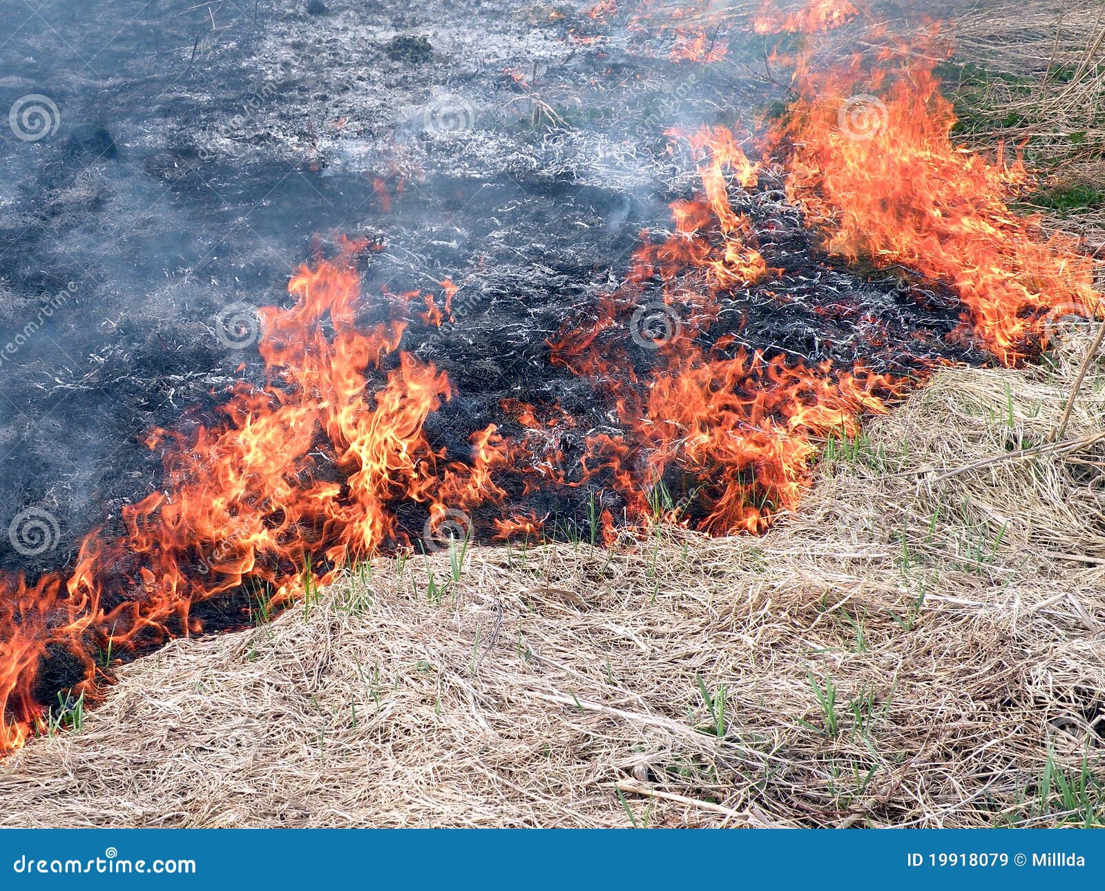 Field flame stock image. Image of wilderness, burning - 19918079