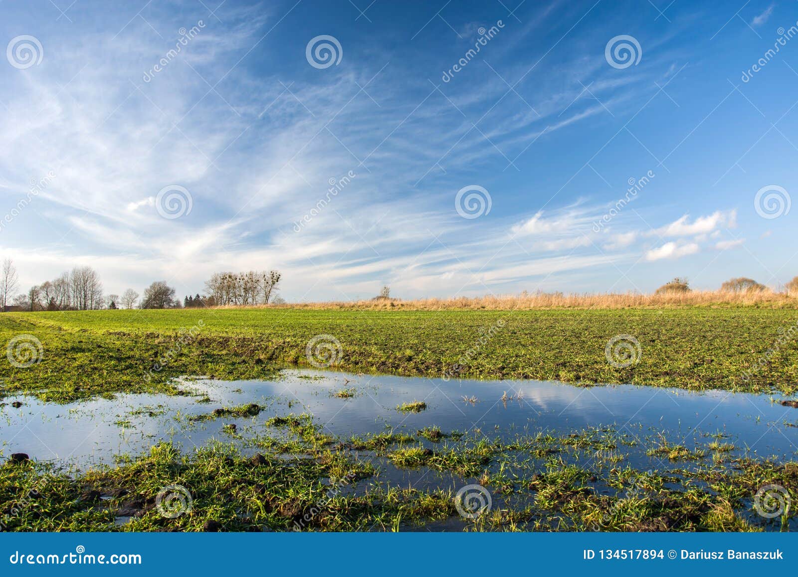 Field Flooded with Water and Clouds in the Sky Stock Photo - Image of ...