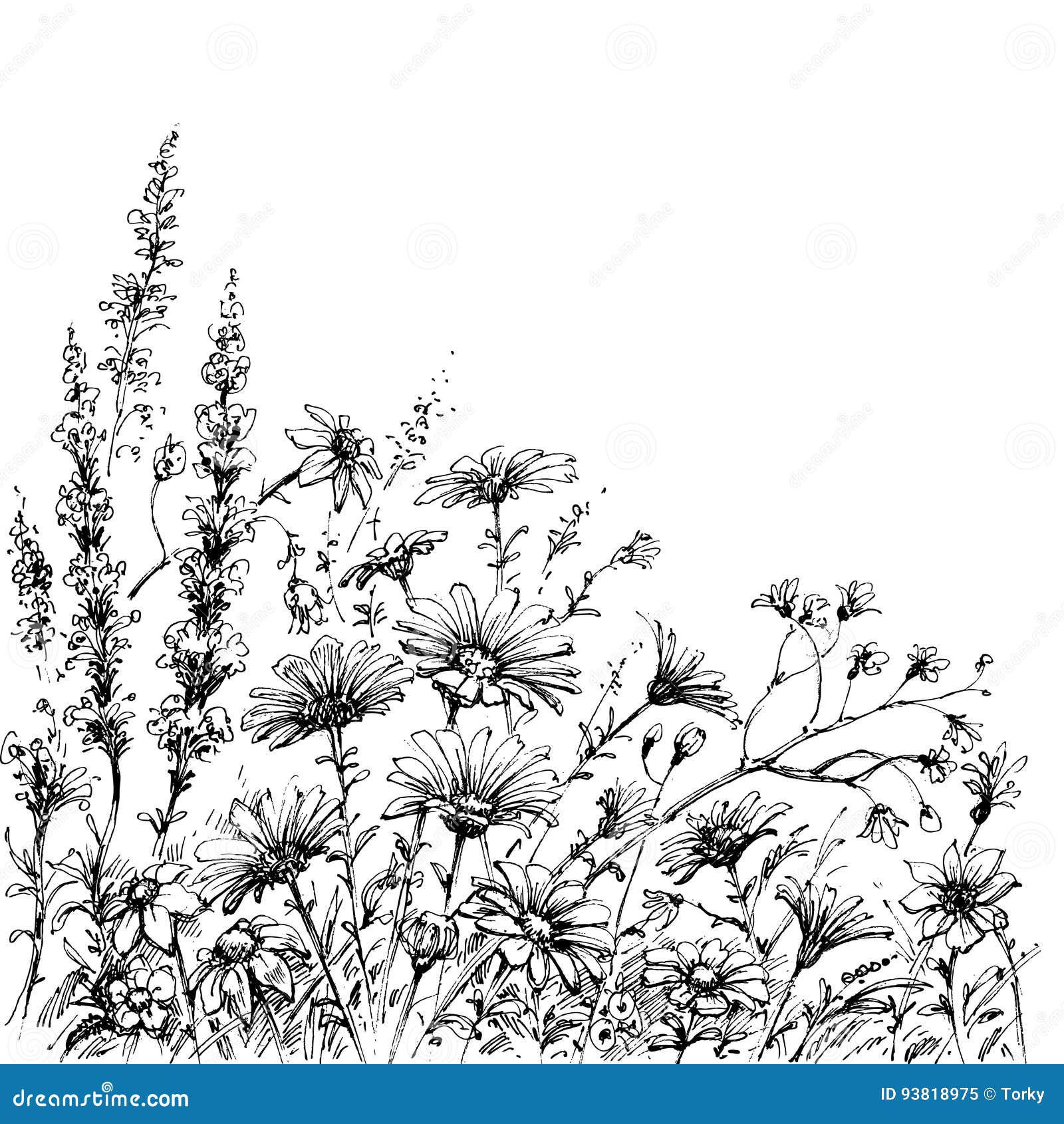 Field Flowers Stock Illustrations – 31,031 Field Flowers Stock ...