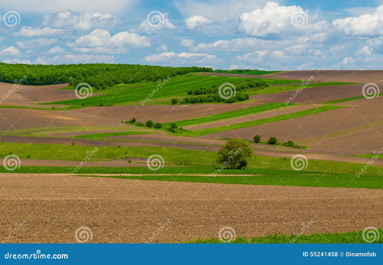 Field stock photo. Image of area, spring, hills, dobrogea - 55241458