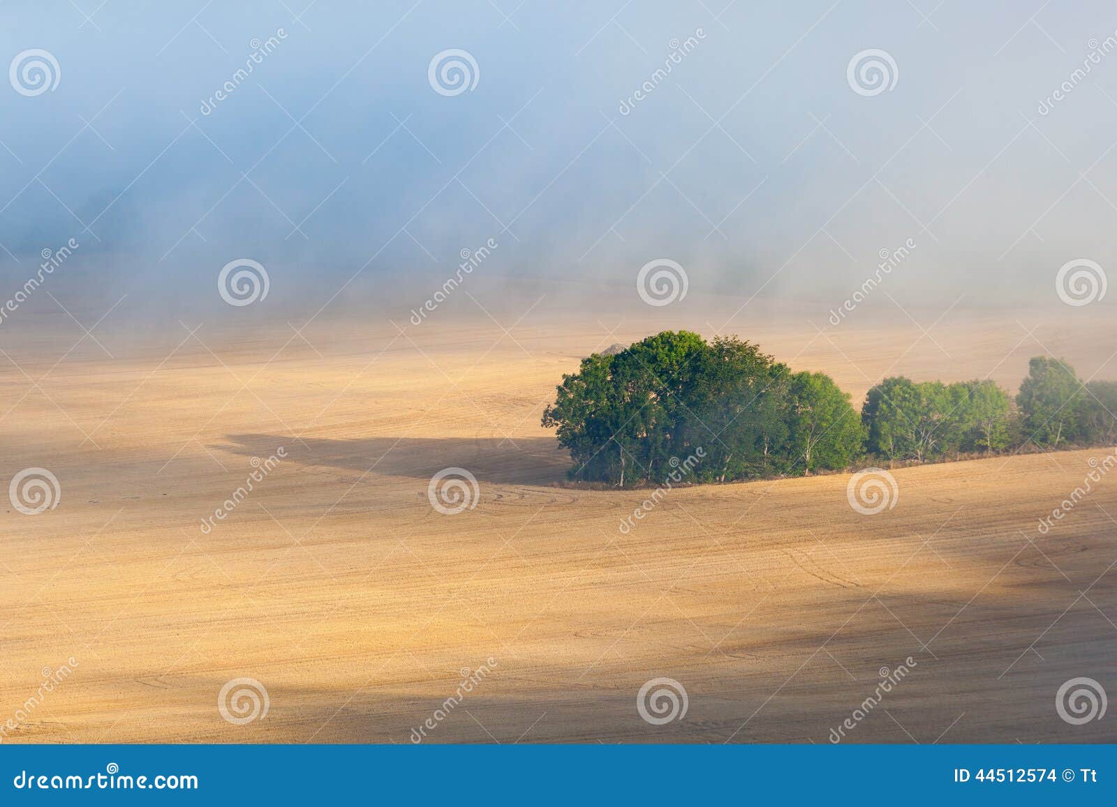 Field in fog stock photo. Image of agriculture, landscape - 44512574
