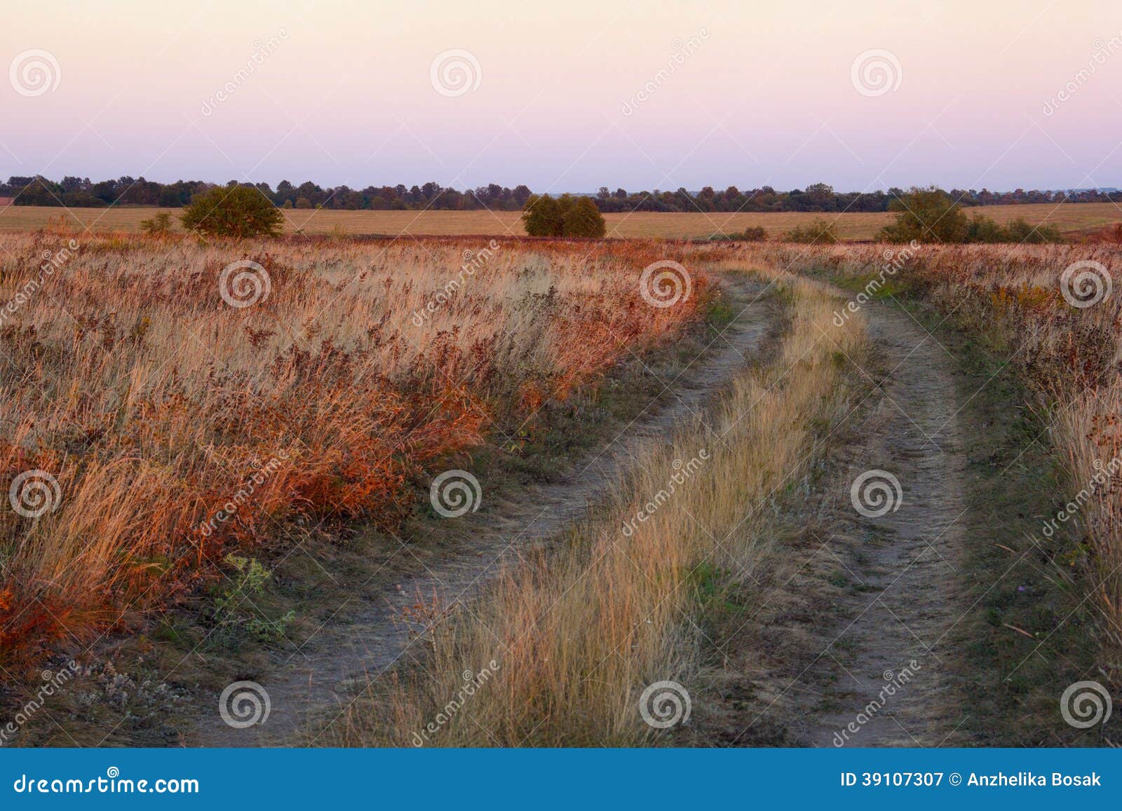 Field with a Footpath at Sunset Stock Image - Image of lush, landscape ...