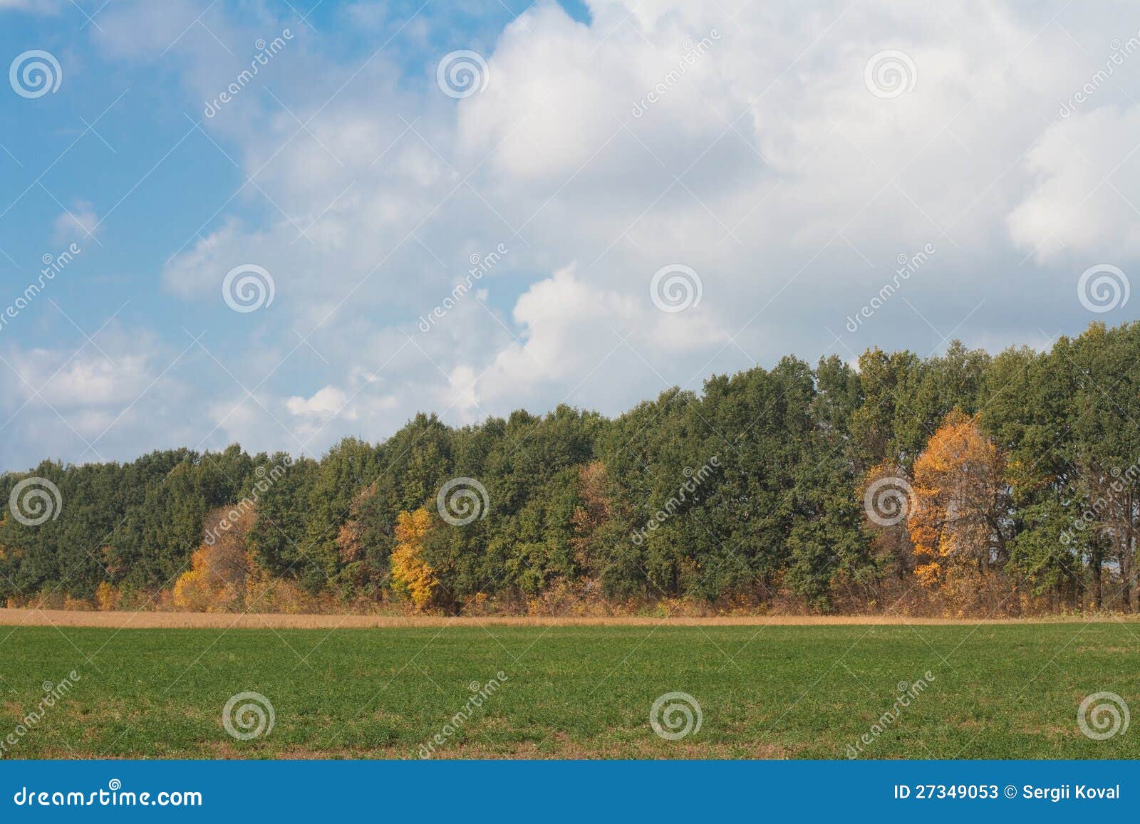 Field and Forest at the Beginning of Autumn Stock Image - Image of lush ...