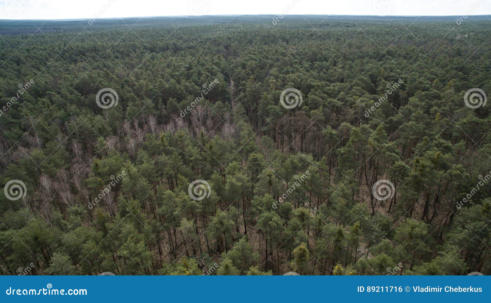 Field and Forest with a Height. Stock Photo - Image of aerial, arial ...