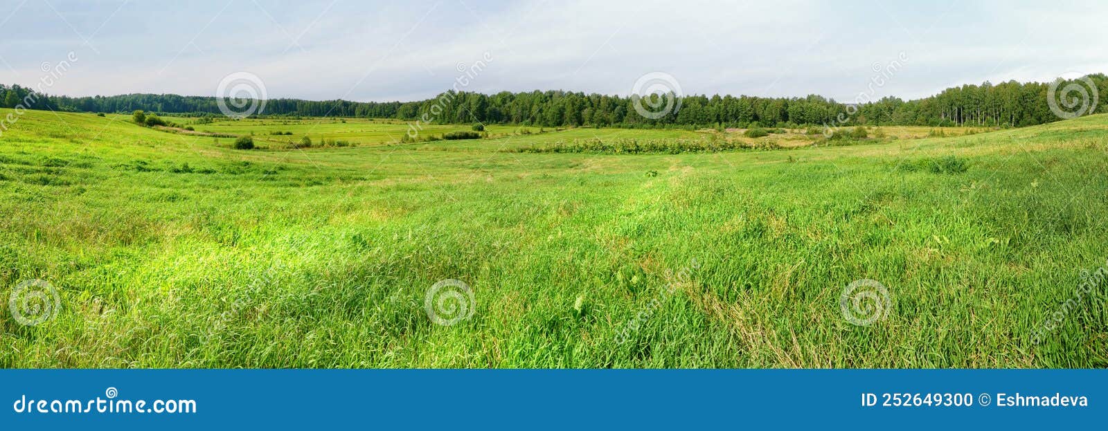 Field and Forest on the Horizon Extra Large Panoramic Landscape Stock ...