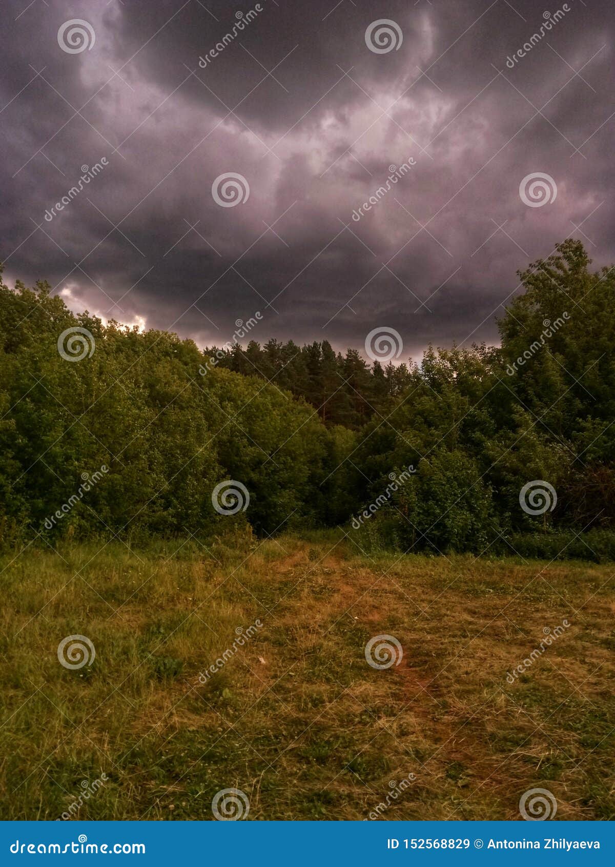 Field and Forest Under a Dark Cloud Stock Image - Image of gray, dark ...
