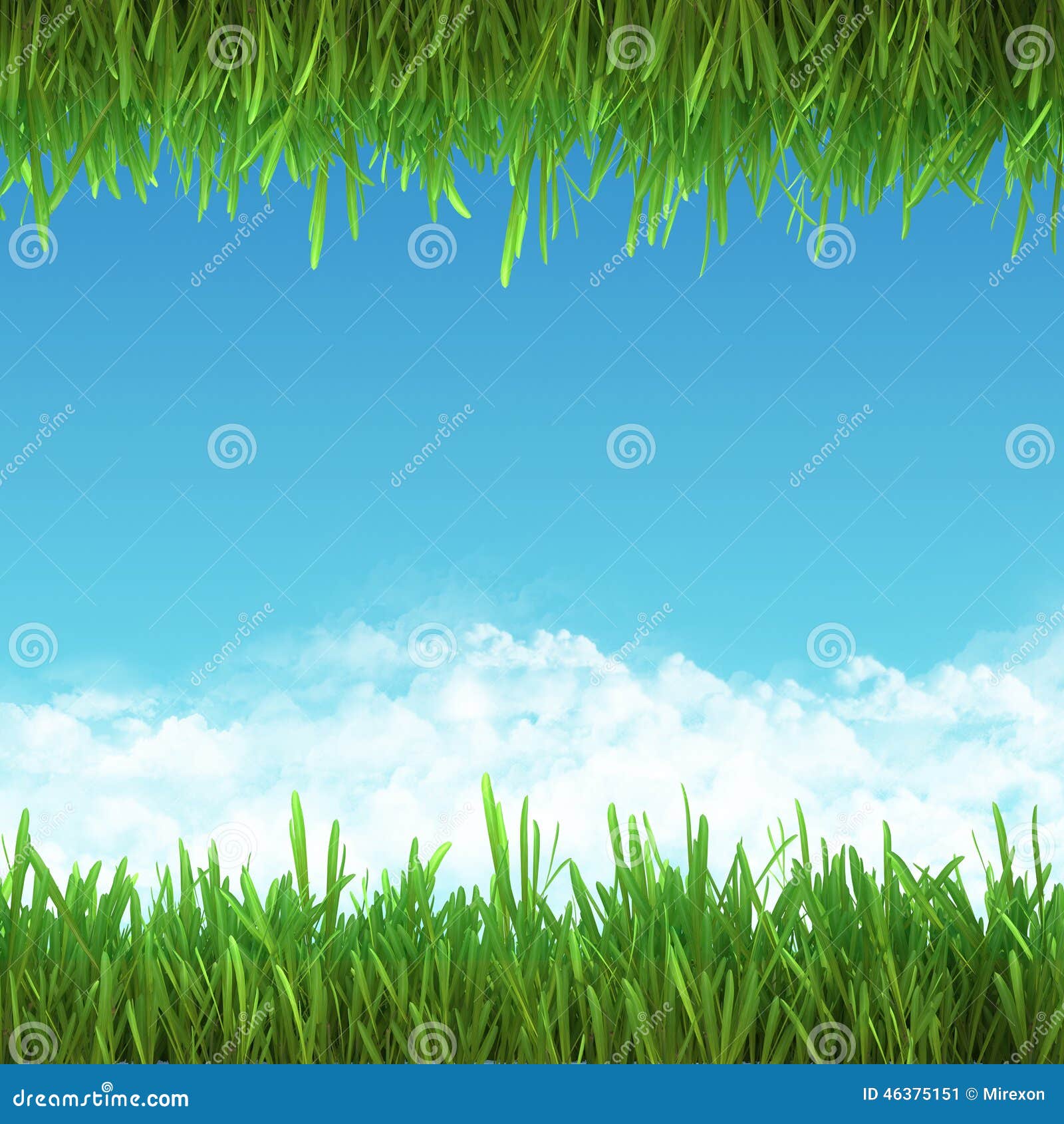 Field Frame of Green Grass and Sky. Stock Image - Image of lawn, nature ...