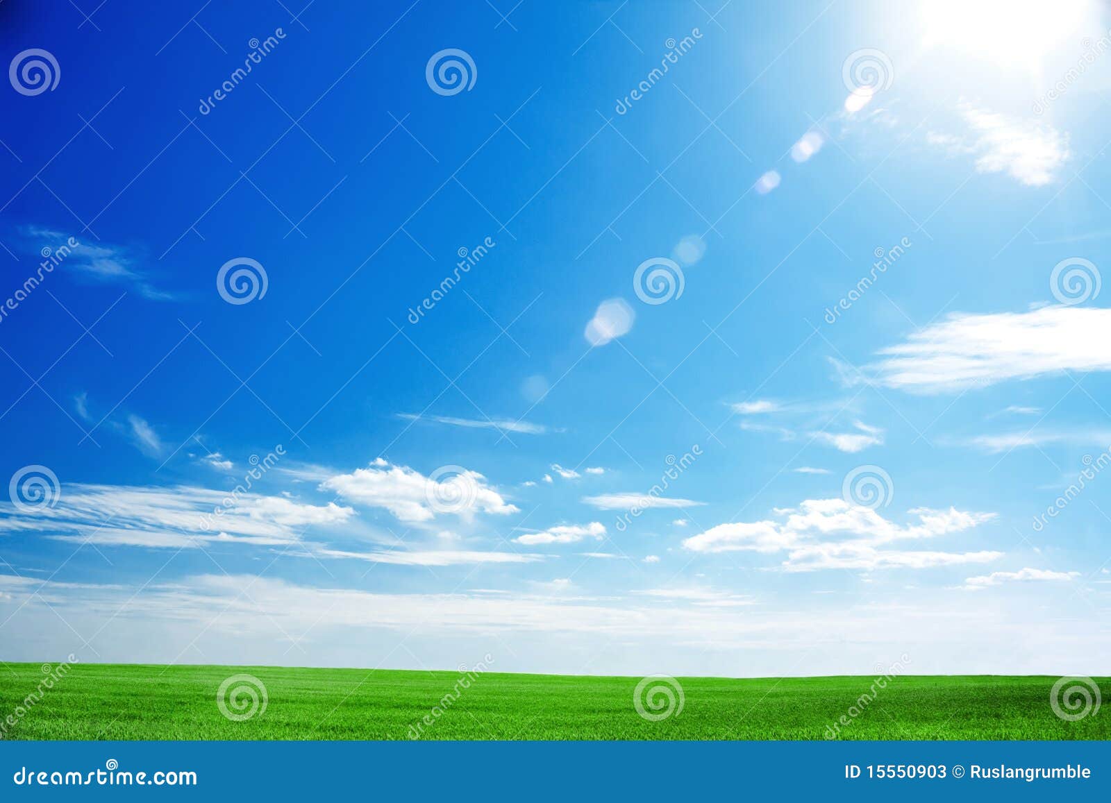Field of Fresh Green Grass and Bright Blue Sky Stock Image - Image of ...