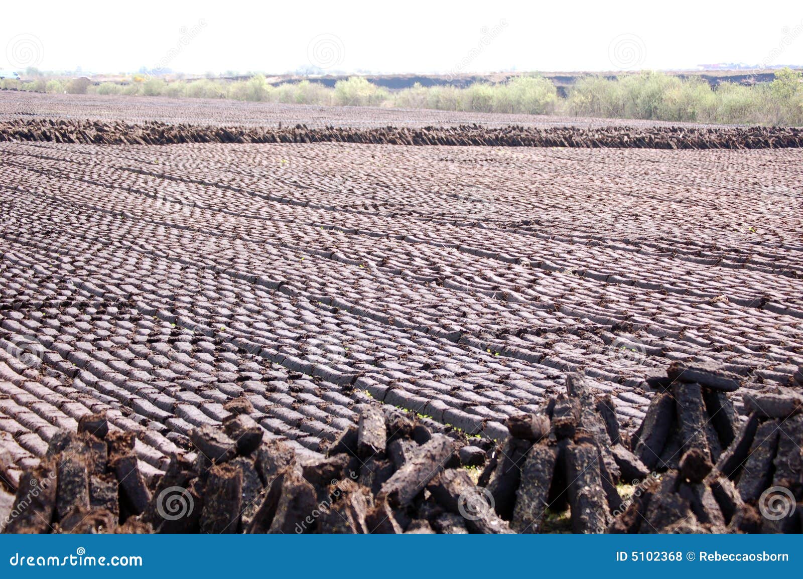 A Field of Freshly Cut Turf Stock Photo - Image of irish, turf: 5102368