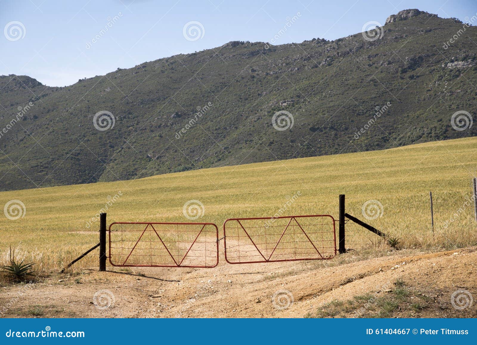 Field and gates stock image. Image of locked, africa - 61404667