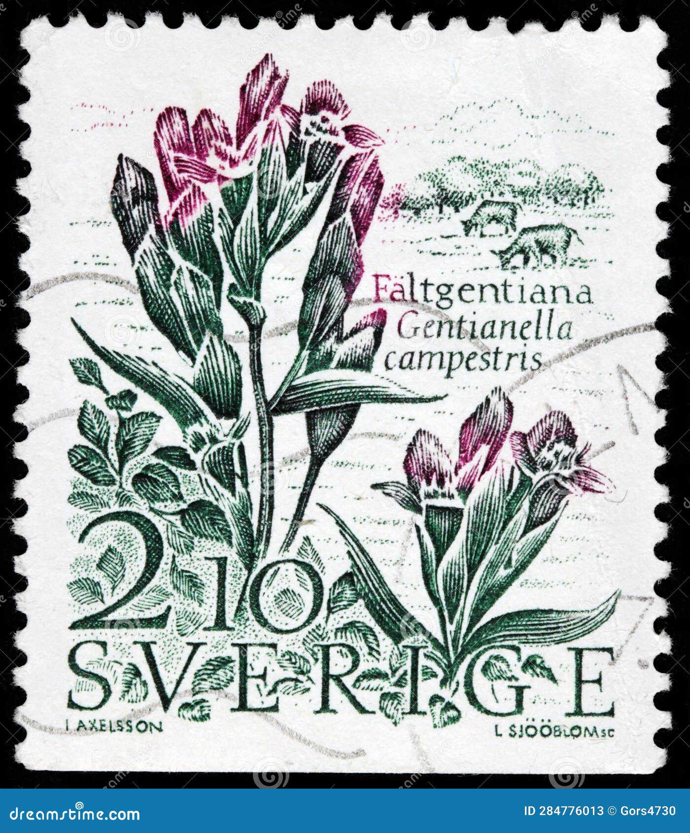 Field gentian stamp editorial stock photo. Image of envelope - 284776013
