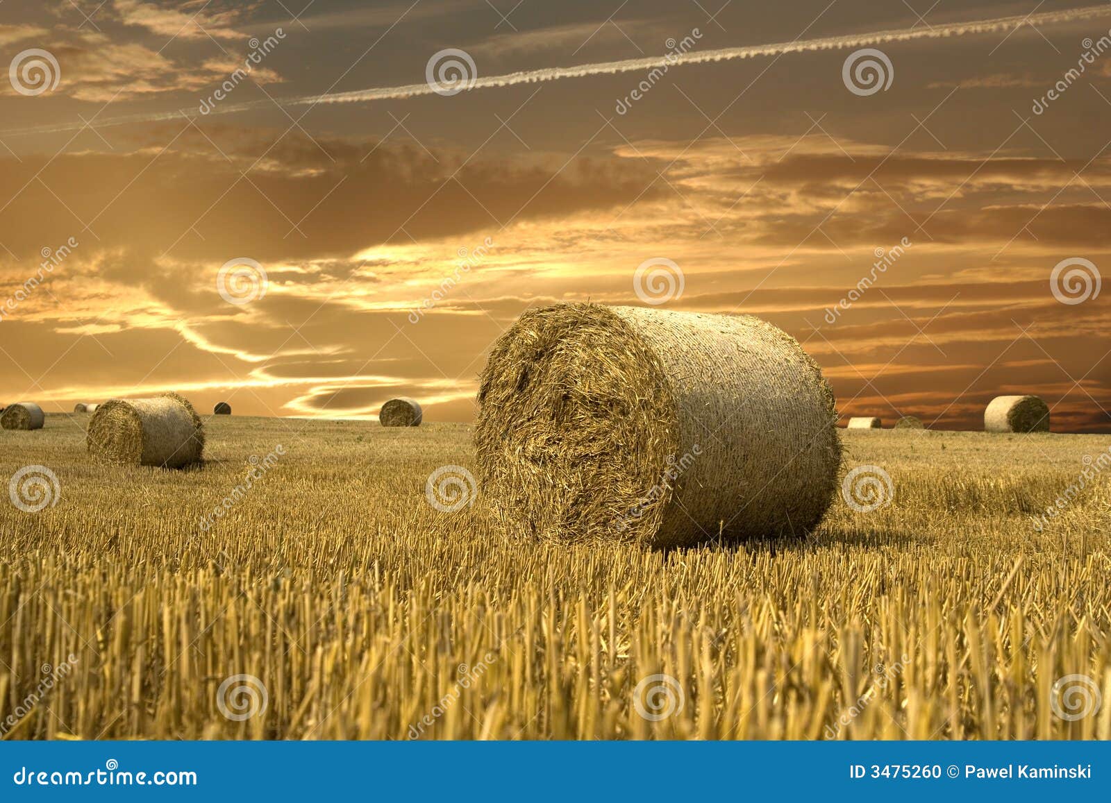 Field of gold stock photo. Image of agriculture, cloudscape - 3475260