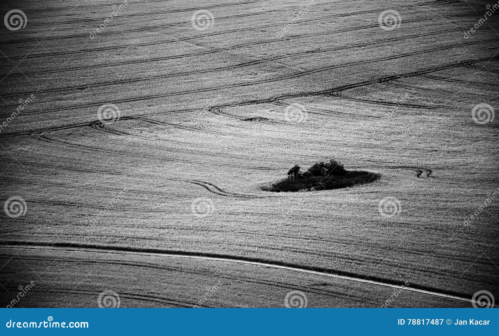 Field stock image. Image of grain, country, summer, black - 78817487