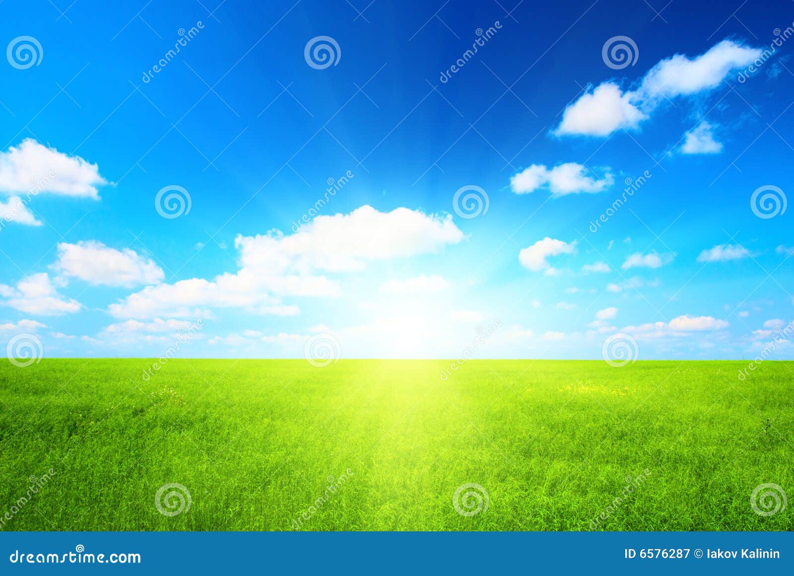 Field of grass stock image. Image of landscape, clear - 6576287