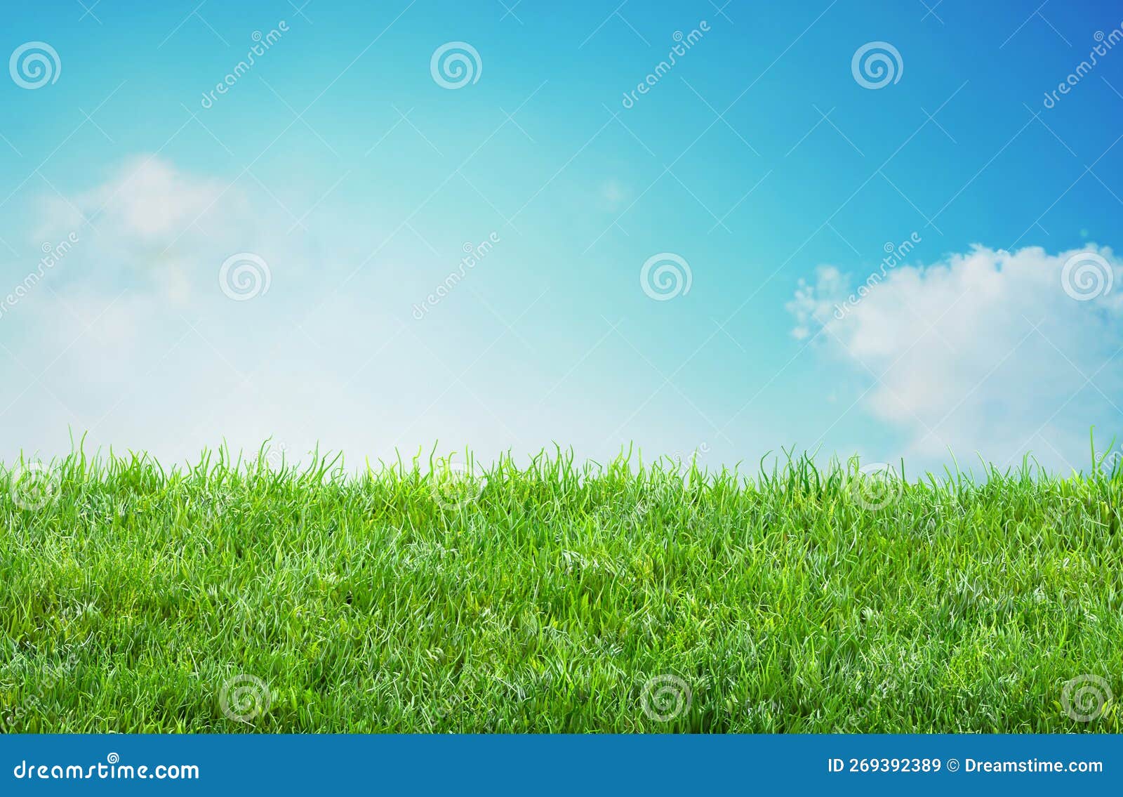Field Grass Background with Blurred Bokeh and Blue Sky Landscape Stock ...