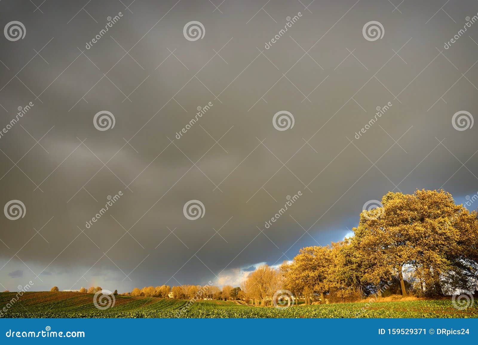 Field of Grass with Dramatic Gray Sky and Clouds Landscape Stock Image ...